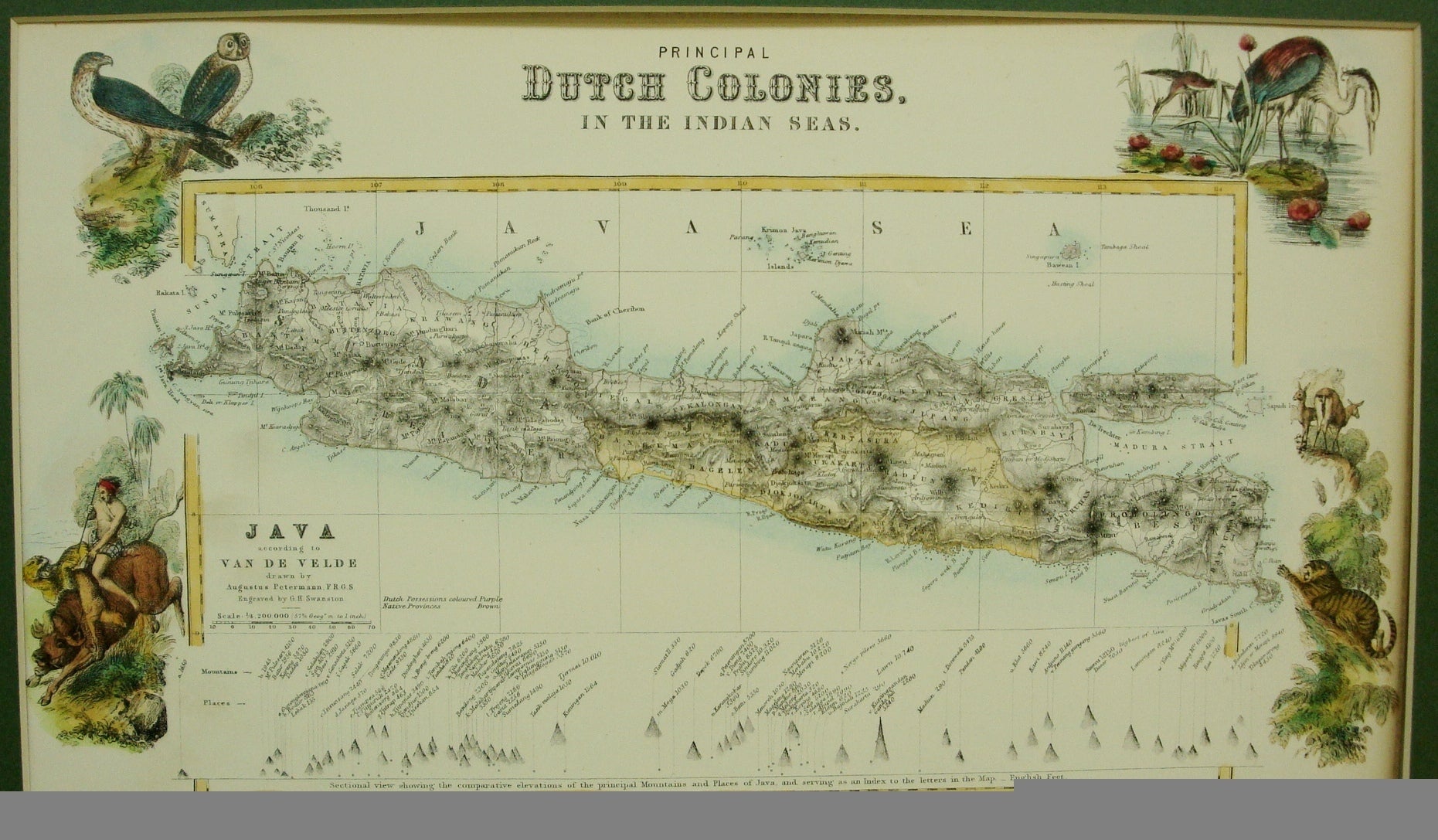 Principal Dutch Colonies, in the Indian Seas. / Java | Van de Velde ...